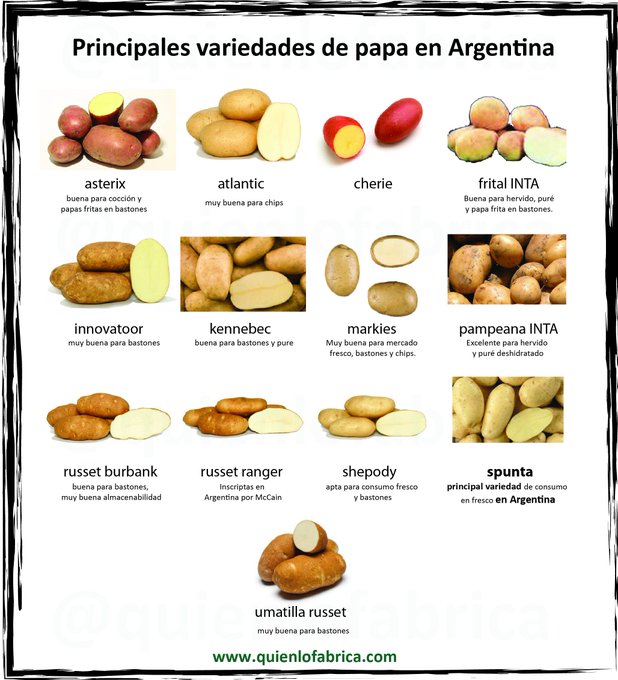 Variedades de papas – Quien Lo Fabrica?